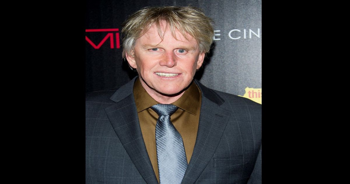 Acusan al actor Gary Busey de delitos sexuales en feria