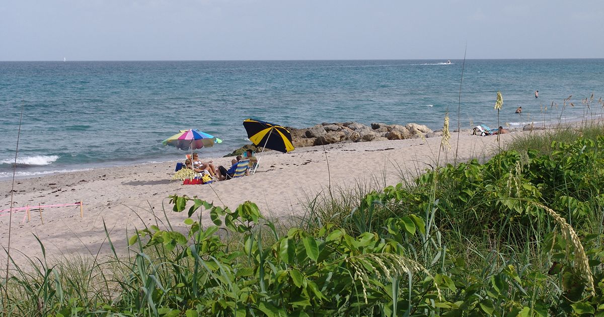 Anuncian plan de reconstrucción para Haulover Park y su muelle