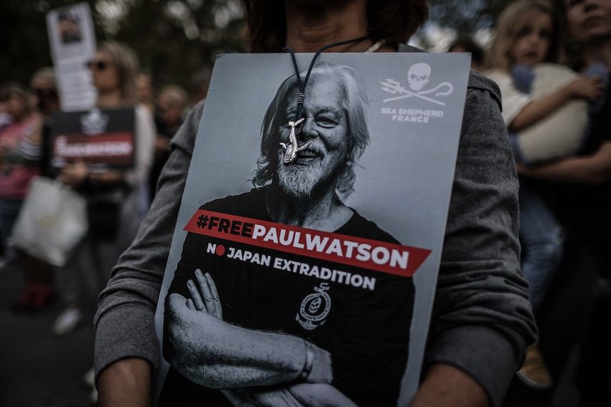 Tribunal prorroga detención de Paul Watson, activista contra caza de ...