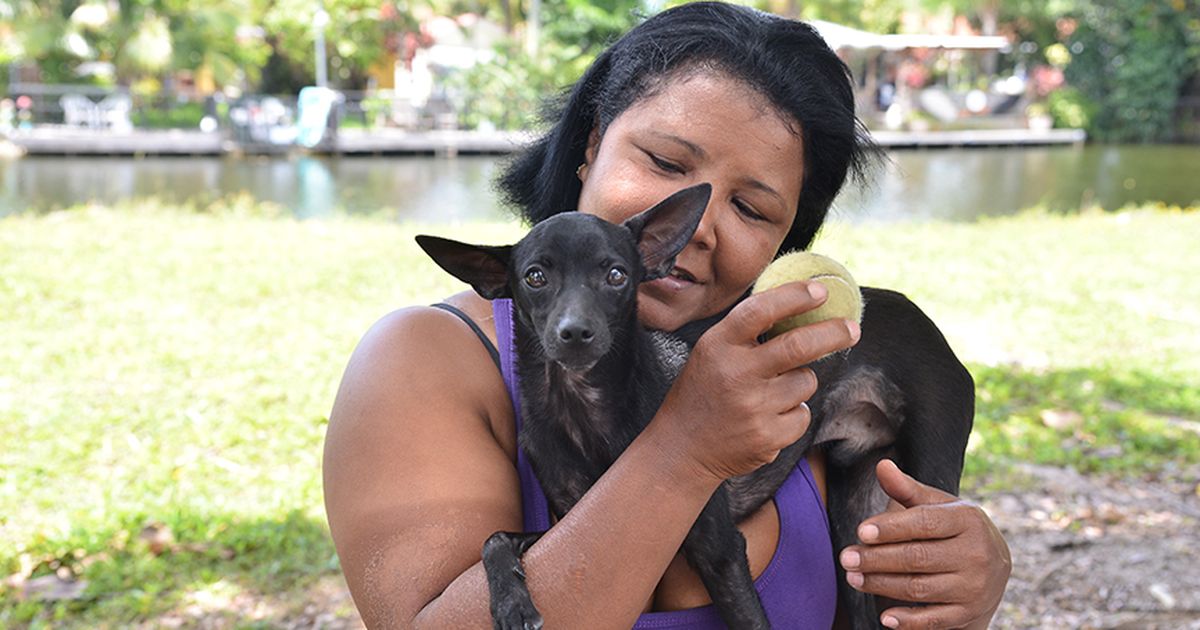Negri, el perro cubano que cruzó el mar y llegó a EEUU