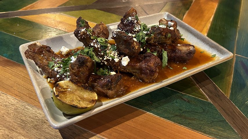 Recorrer el mundo en Toronto