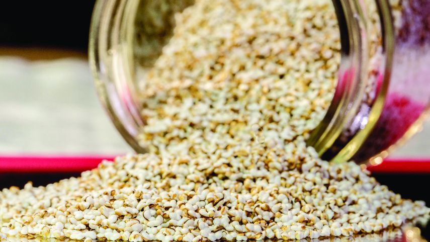 Amaranto, el mejor alimento del mundo