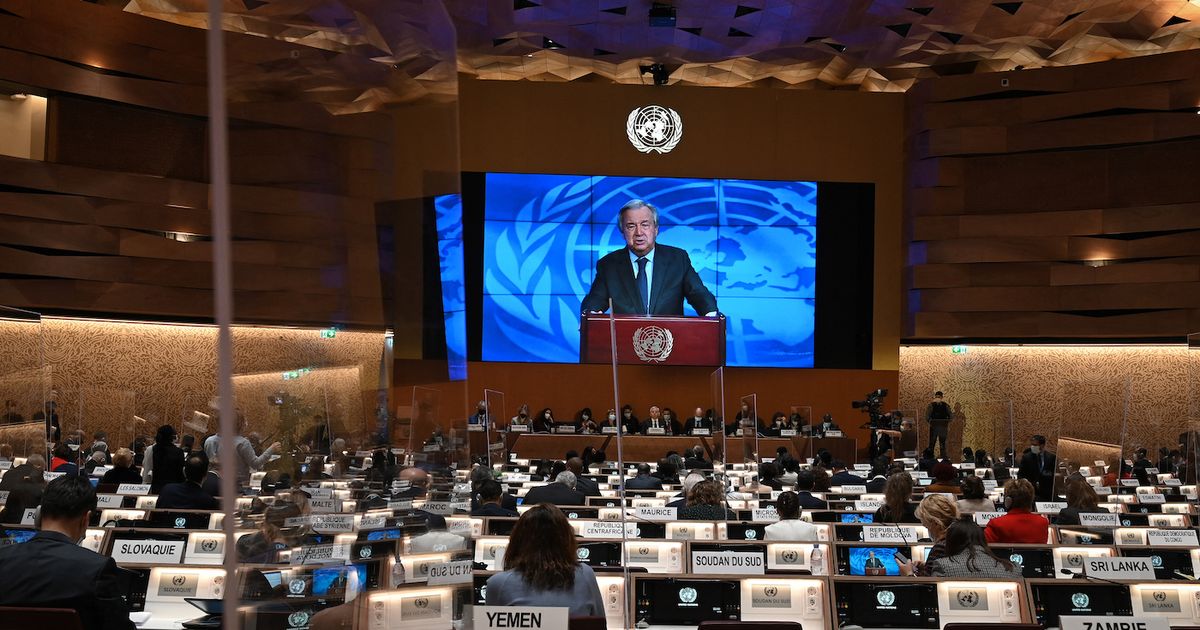 La ONU anuncia reducción del 25% el número de Cascos Azules en el mundo ...