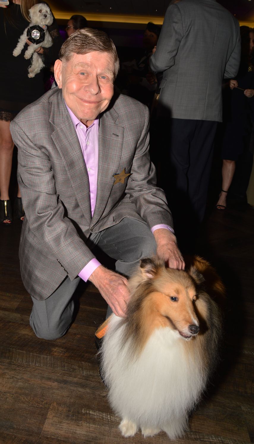 Pawpurrazzi, un evento único en honor de las mascotas