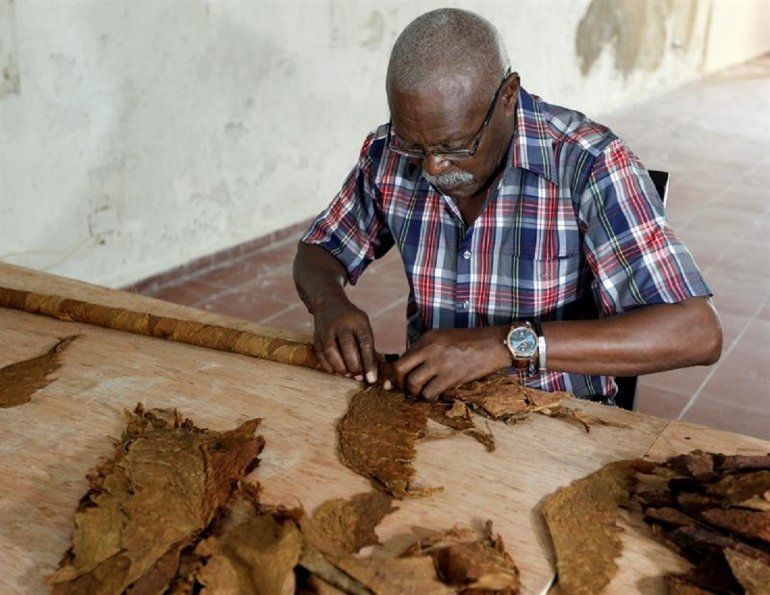 Tabaquero cubano crea el puro más grande del mundo por los 90 años de Fidel
