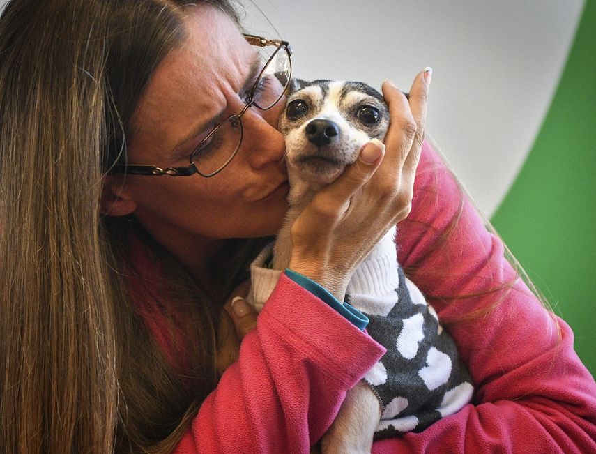 Mujer de Florida conduce hasta Pittsburgh al reencuentro con su mascota ...