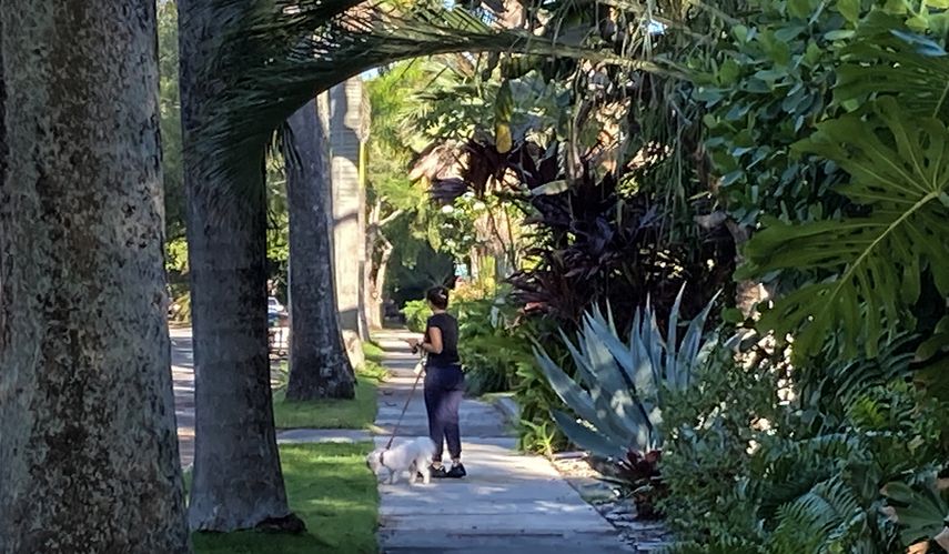 De Miami es Morningside, 100 años bien cumplidos