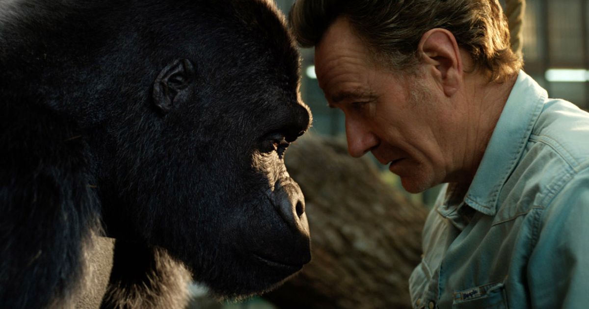 Iván, una parábola sobre derechos de los animales