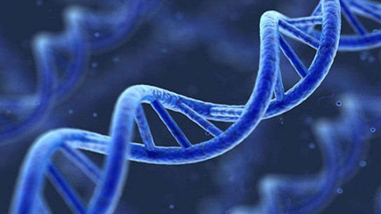 China inaugura el primer banco de genes con 10 millones de muestras