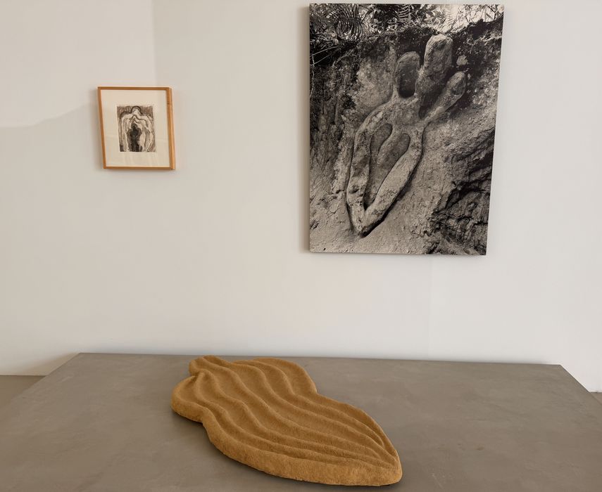 Exponen en Miami obras de arte de la exclusiva Colección Rosa de la Cruz