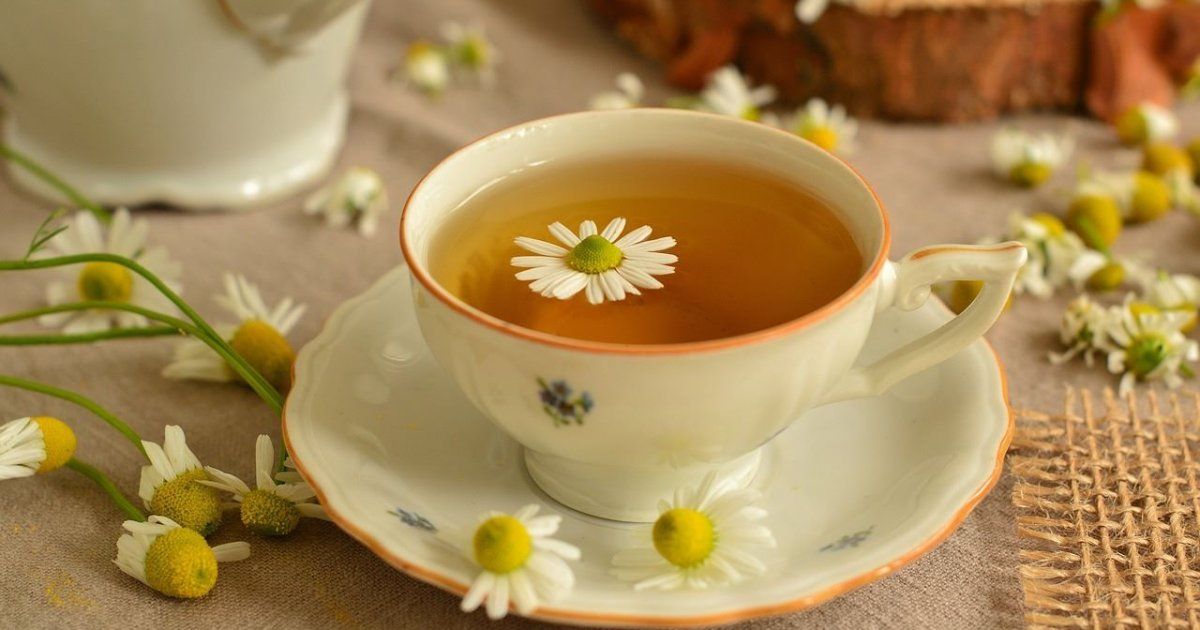 Manzanilla: Un tesoro natural con un sinfín de beneficios