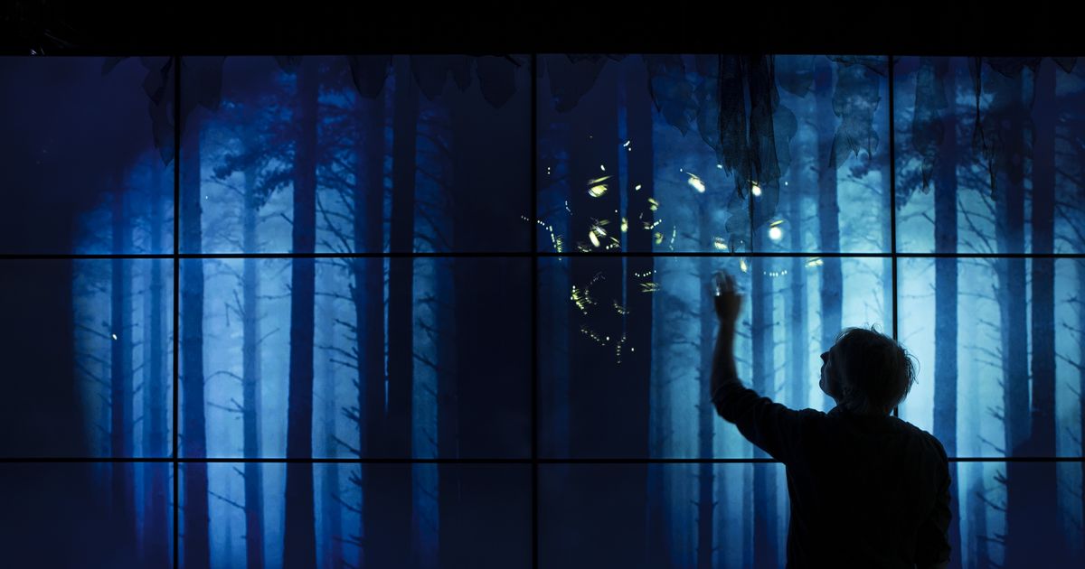 Museo De Ciencia Phillip Y Patricia Frost Inaugura En Miami Bugs