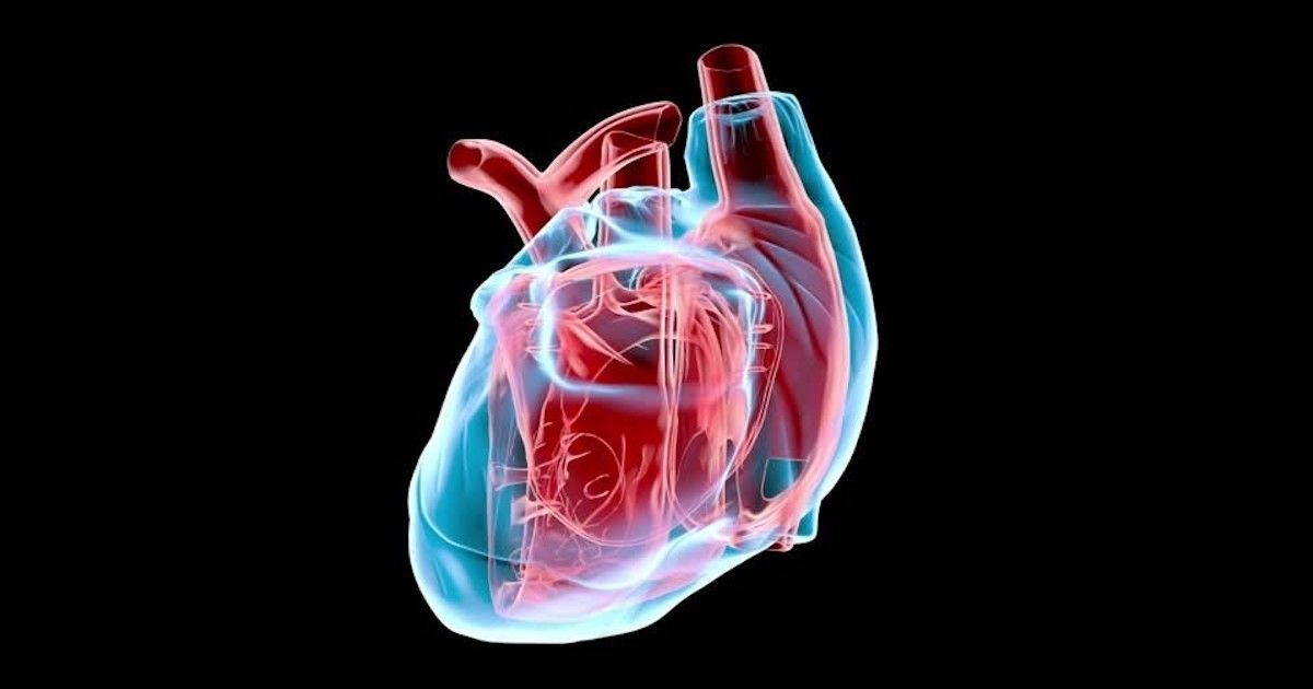 ¿Cómo afecta el consumo excesivo de alcohol en la acumulación de grasa ...