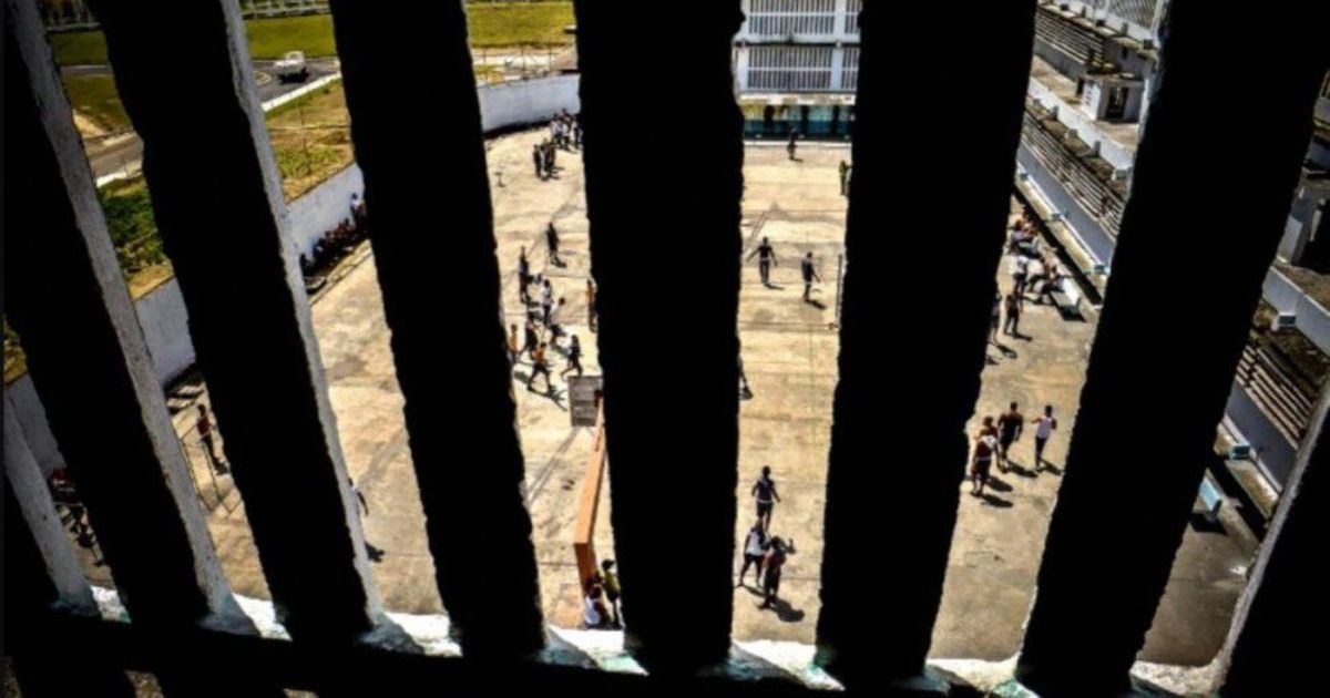 Ausencia de agua, sarna, coronavirus... lamentables condiciones de las ...