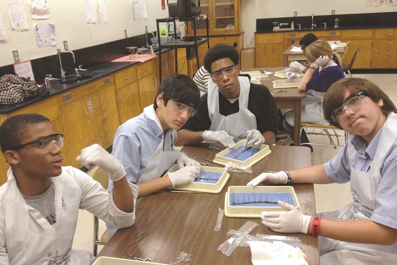 Escuelas magnet de Miami-Dade galardonadas por alto rendimiento