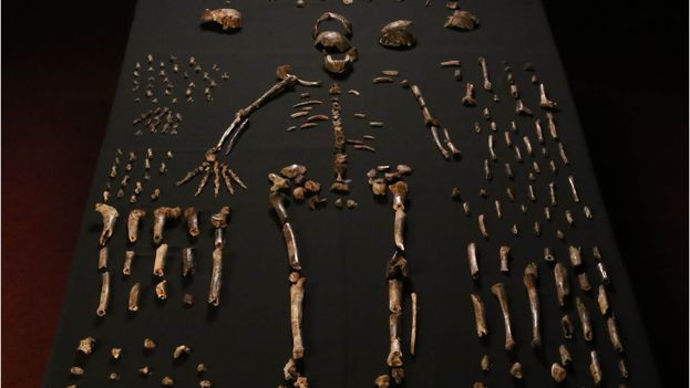 Científicos descubren restos de una nueva especie humana