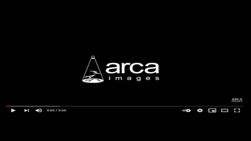 Arca Images presenta la pieza Fallen Angels en Miami