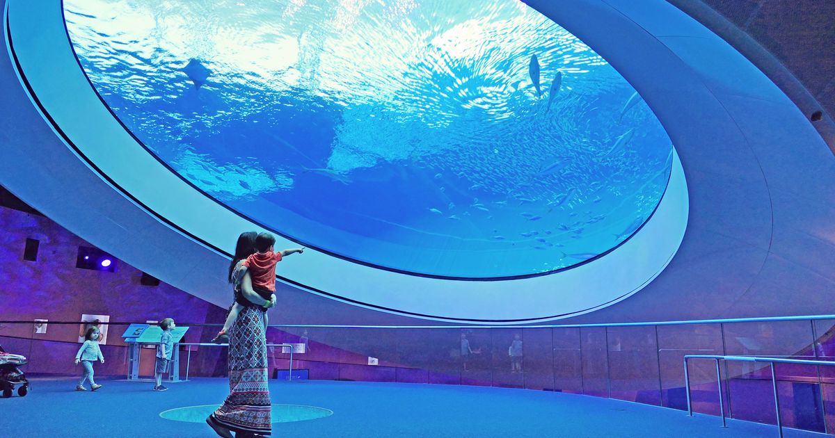 El Frost Museum of Science y el PAMM cierran temporalmente