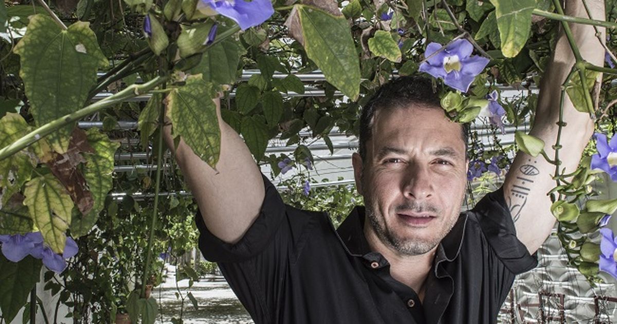 El actor mexicano Raúl Méndez da el salto al mercado anglo