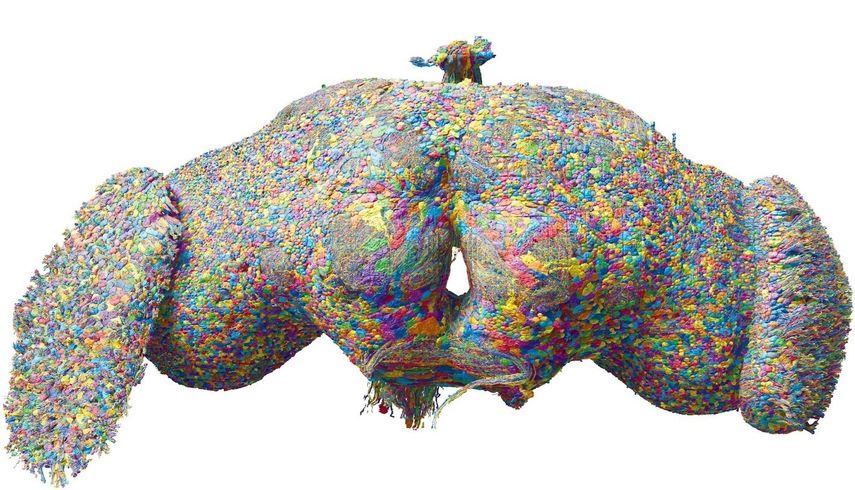 Así se ve el primer mapa de todas las neuronas en un cerebro adulto