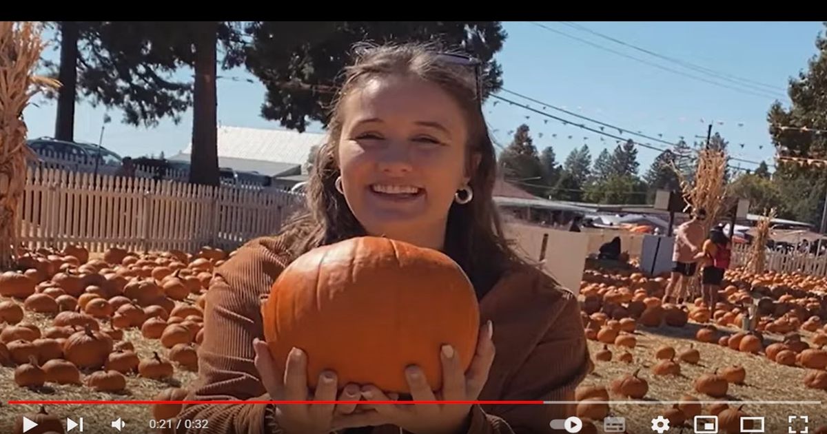 Reportan muerte de periodista tras caer de columpio a lago