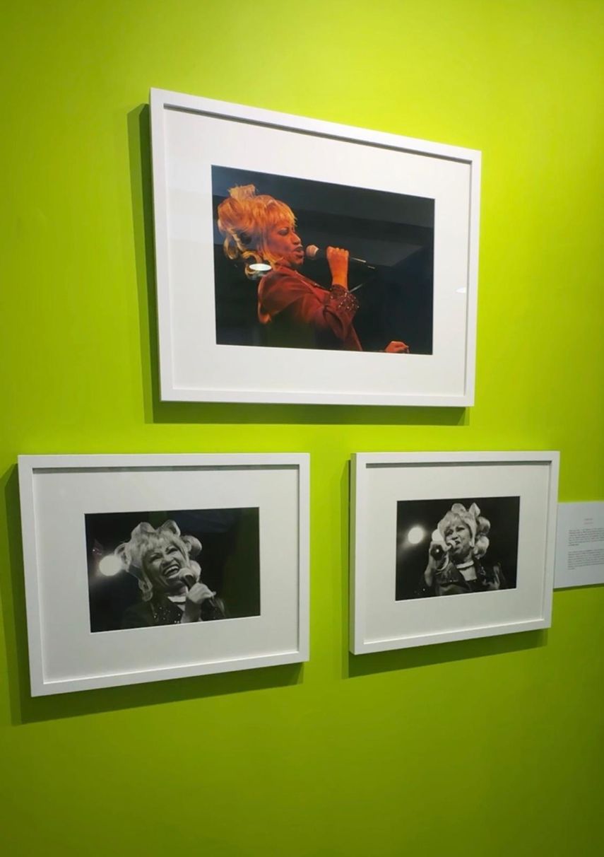 Muestra fotográfica honra a Celia Cruz en el Coral Gables Museum