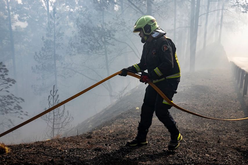 España registra un incendio forestal de casi 15 mil hectáreas