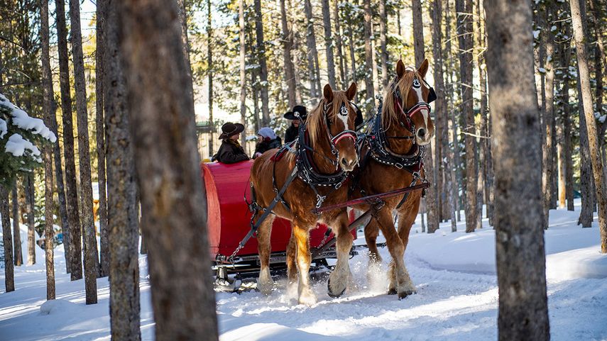 Breckenridge: The Ultimate Colorado Winter Playground