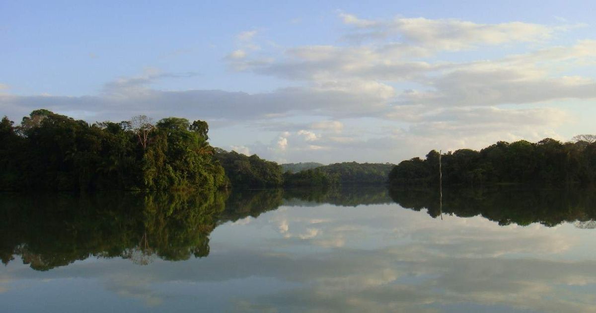 Conoce Barro Colorado: La isla laboratorio que está conectada con el mundo