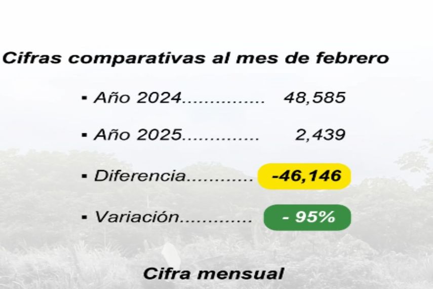 La selva del Darién, un pasaje sin retorno
