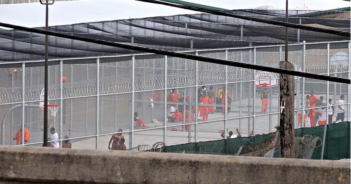 Población carcelaria aumentó 430% durante los últimos 30 años