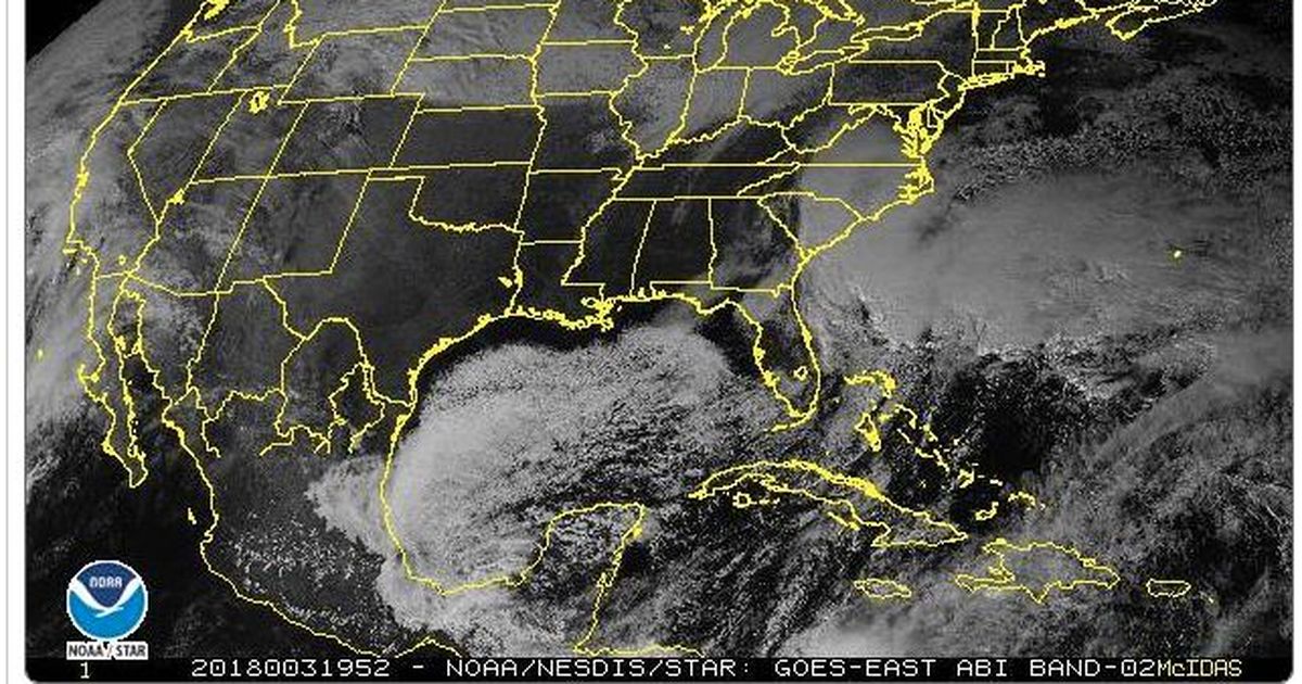 Nieve en el norte de Florida: Sorpresa y preocupación por las consecuencias