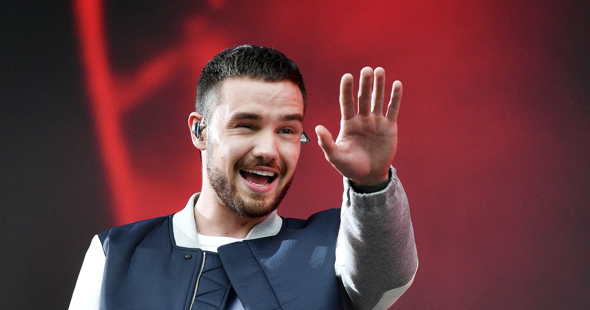 Cantante Sam Pounds estrena sencillo en el que colaboró con Liam Payne
