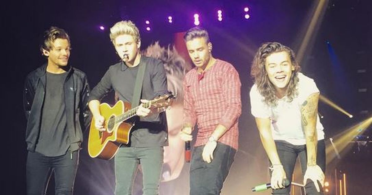 One Direction tranquiliza a fans ante último concierto: Volveremos