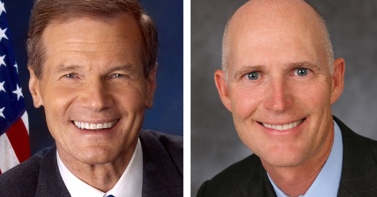 Empieza distribución de votos por correo y primer debate entre Nelson y ...