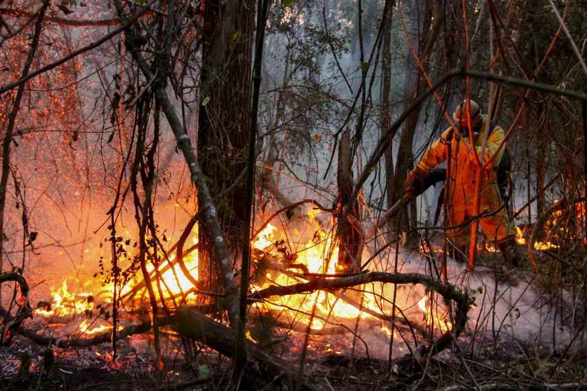 Brasil combate incendios masivos en medio de sequía sin precedentes