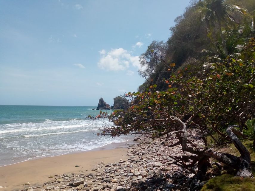 Experiencia Paria, una propuesta para conectar con la joya del oriente ...