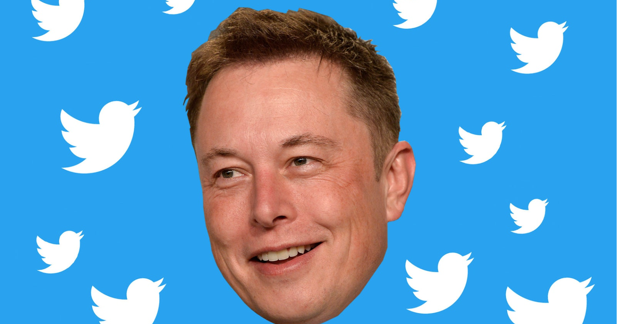 Memes de propuesta de Elon Musk invaden Twitter
