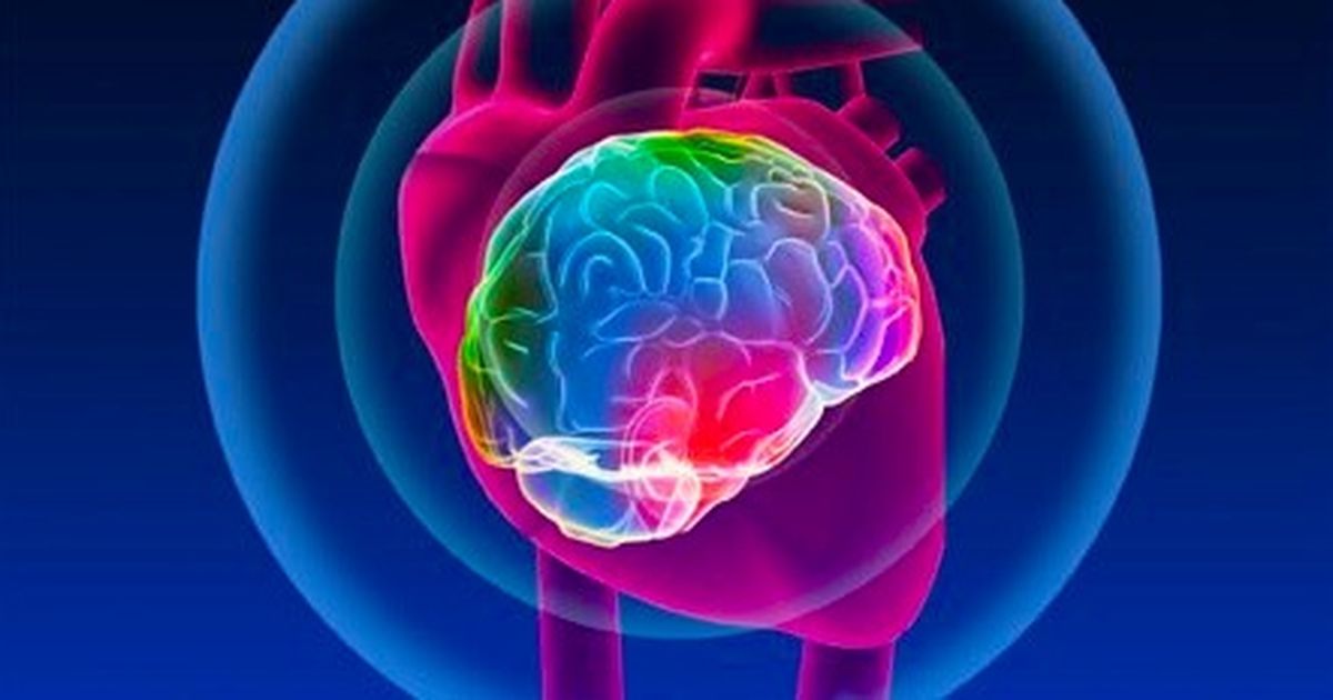 ¿Qué sigo, la razón o el corazón?