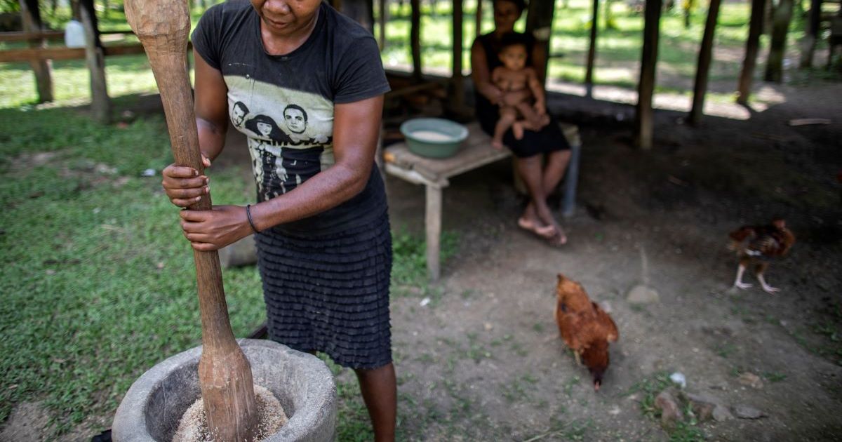Indígenas miskitos luchan por subsistir en Nicaragua